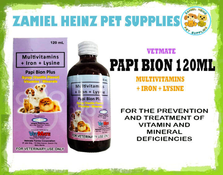 PAPI BION Plus (MULTIVITAMINS+IRON+LYSINE) 120ML | Lazada PH