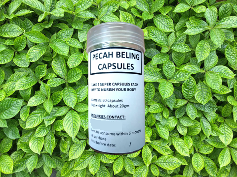 100 Capsules Home Grown Pecah Beling Leafs Powder 100 Kapsul Daun Herba ...