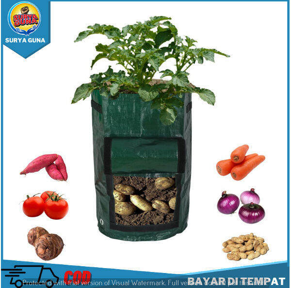 Potato Planter Pot Tanam Kentang Pot Tanam Ubi Pot Tabulampot Umbi ...