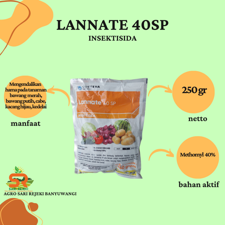 LANNATE 40SP 250GR INSEKTISIDA | Lazada Indonesia