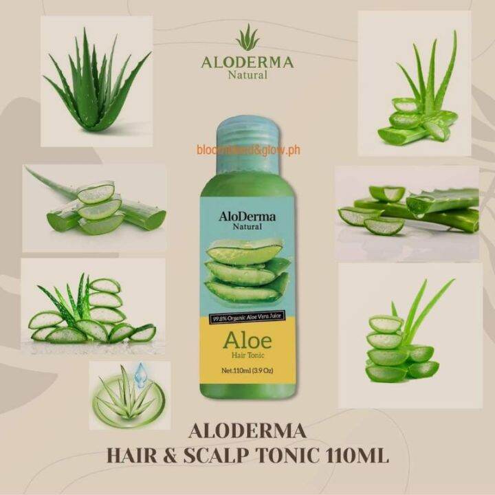 Aloe Derma Hair and Scalp Tonic (AloDerma Natural) | Lazada PH