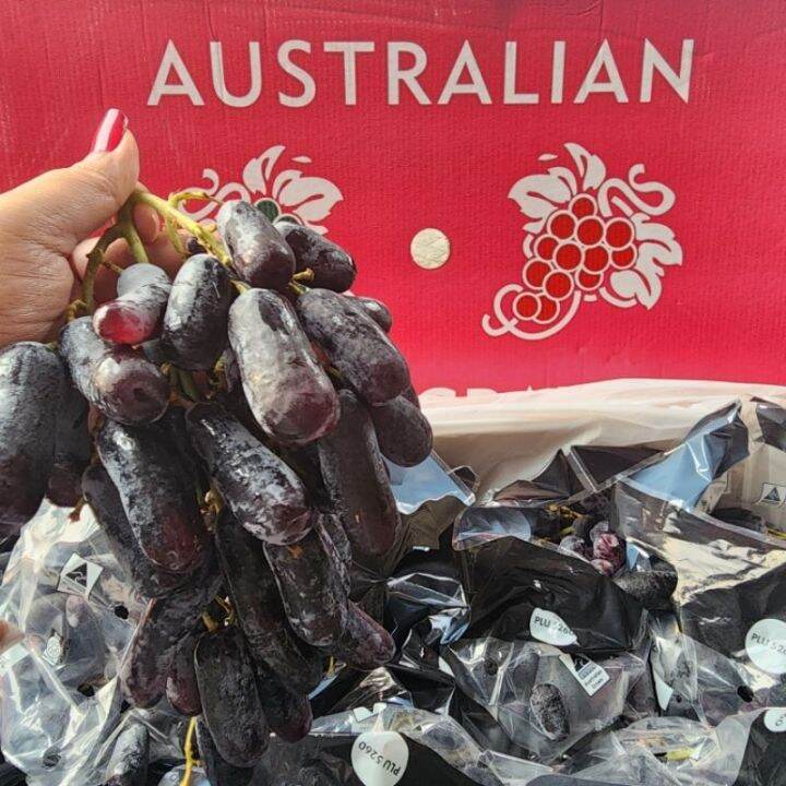 [PROMO] Anggur Moondrop / anggur jari PACK ±500gr | Lazada Indonesia