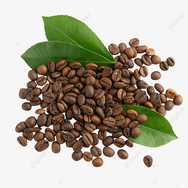 Coffee bean samples 40g. (ตัวอย่างเมล็ดกาแฟดอยช้างถุงขาว ,Testing ...