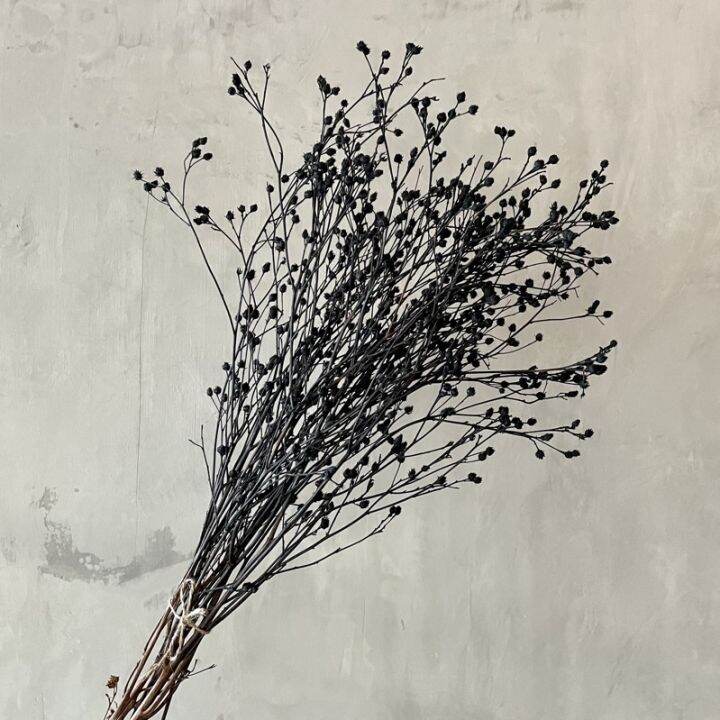 Dried Local Valentine Twigs (Bdle) | Lazada PH