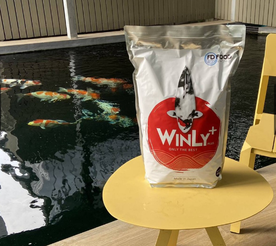 ( เม็ด L ) Winly Plus อาหารปลาคาร์ฟ สูตรเร่งสี ขนาด 4 kg. | Lazada.co.th