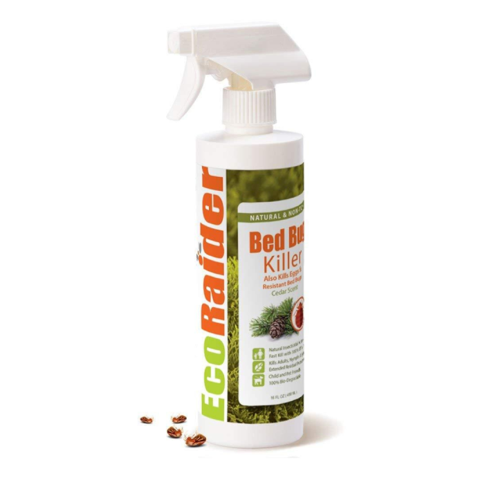 EcoRaider Bed Bug Killer (16 oz) | Lazada PH