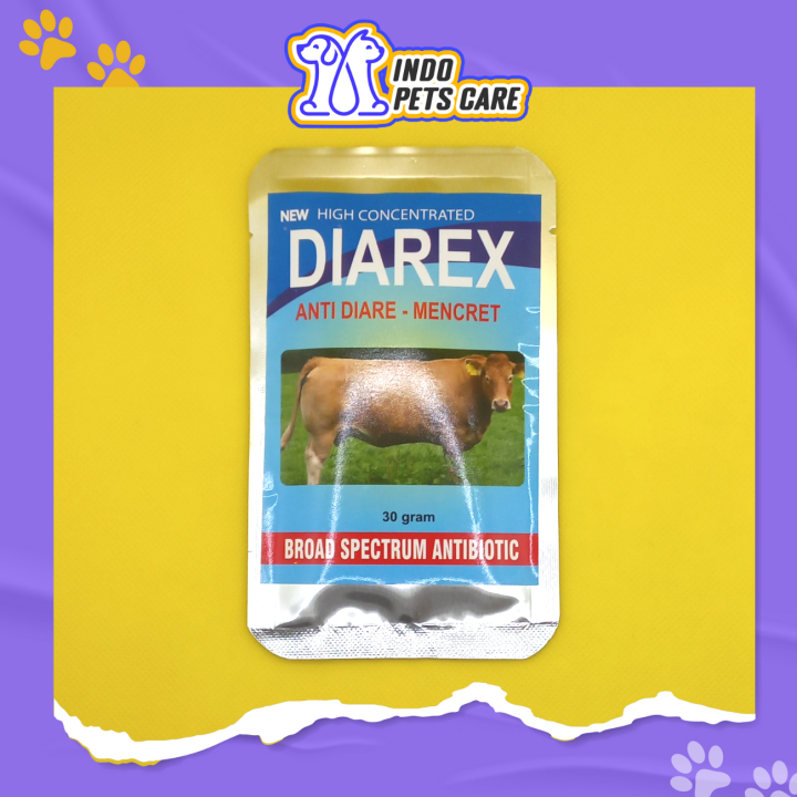 OBAT DIARE SAPI - DIAREX SAPI 30 GRAM - ANTIBIOTIK RADANG USUS ...