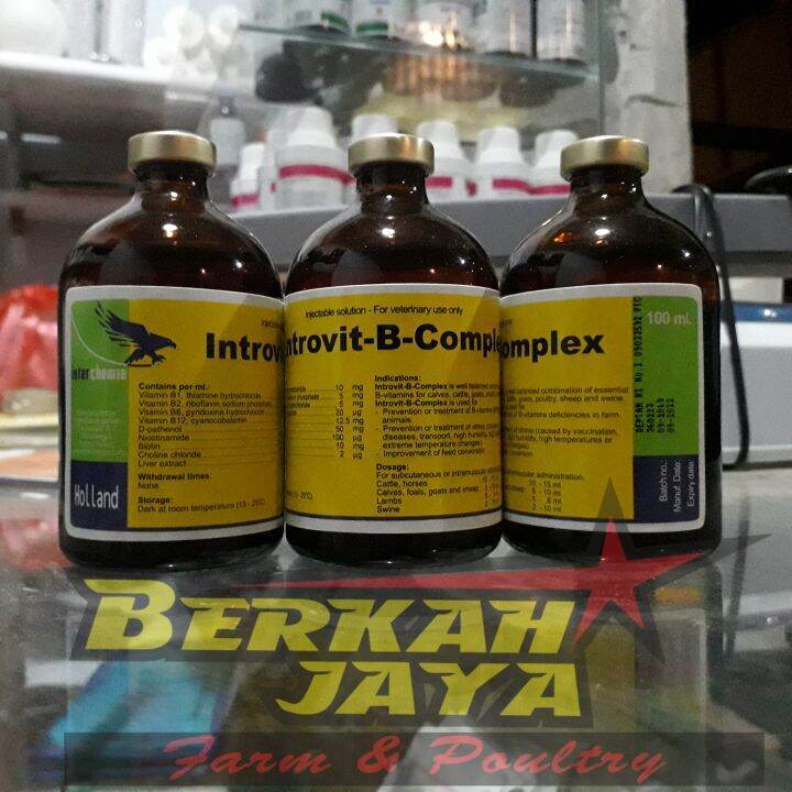Introvit B Complex Injeksi Vitamin B Kompleks Hewan | Lazada Indonesia