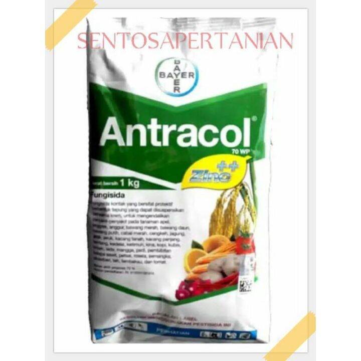 fungisida kontak ANTRACOL 1kg dari BAYER | Lazada Indonesia
