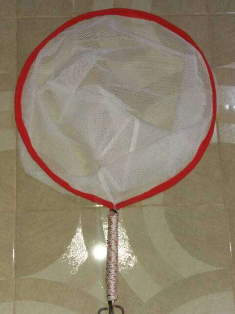 Seser Ikan Serokan Ikan Bulat D40cm | Lazada Indonesia