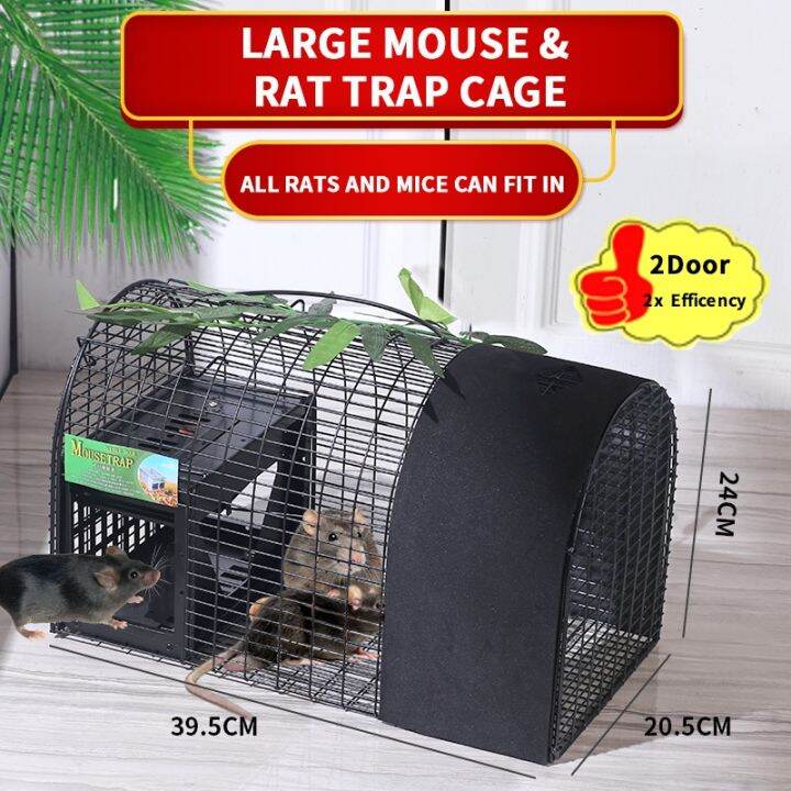 ⭐Multi-Catch 10-15 Rats⭐ 2-Door Large Reusable Humane Live Catch Mice ...