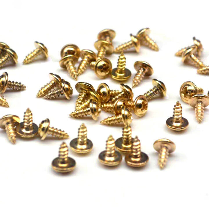 GOLD SELF TAPPING SCREWS | Lazada PH