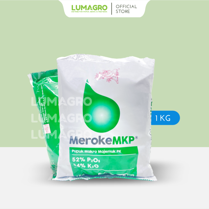Pupuk Meroke MKP 1kg Kemasan Pabrik Pembungaan Pembuahan Tanaman ...