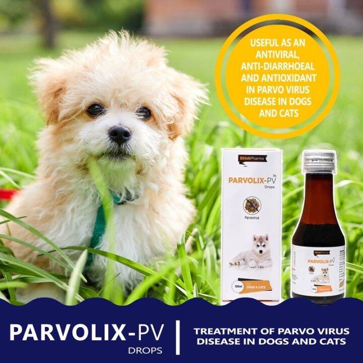 Parvolix Pv For Treatment Of Parvo Virus In Dogs And Cats | Lazada PH