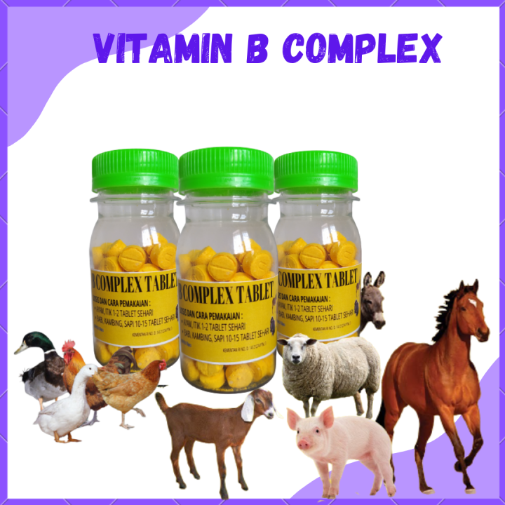 B COMPLEX TABLET VITAMIN PENAMBAH NAFSU MAKAN HEWAN TERNAK SAPI KAMBING ...