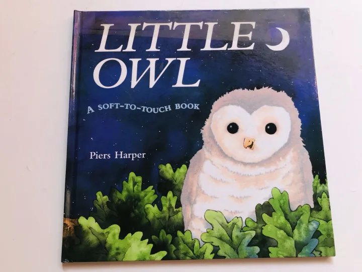Little owl English children's book, cover owl, touch, hardcover | Lazada PH
