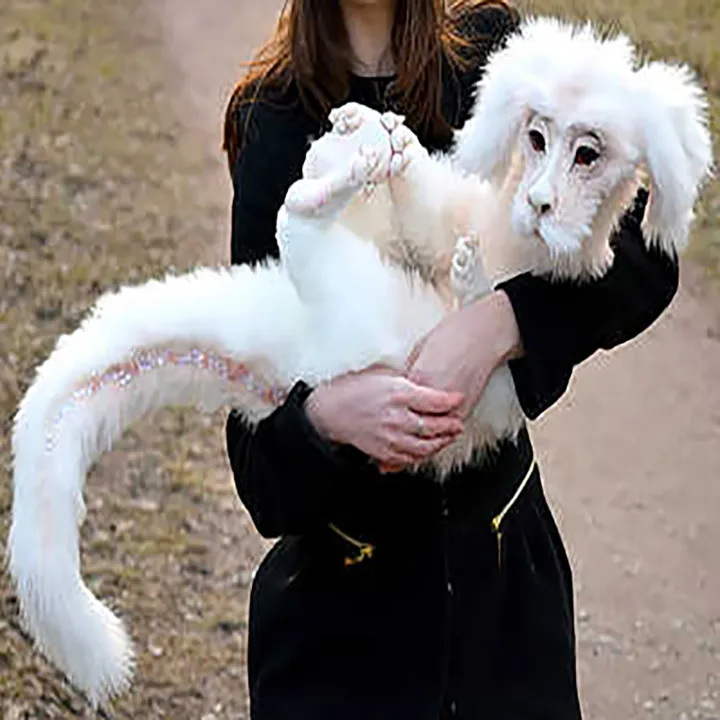 Luck Dragon Falkor Doll. Neverending Story White Dragon Doll. Cute ...