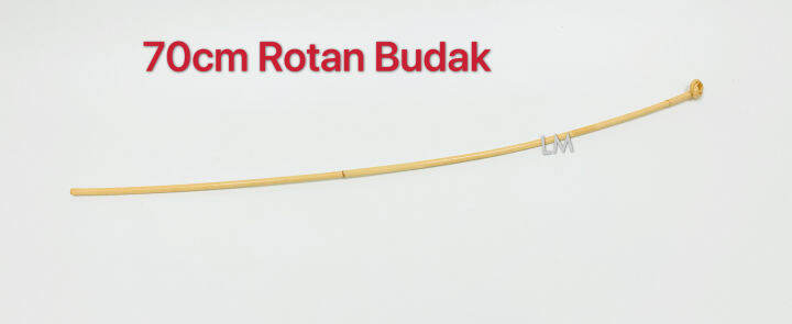 3pcs ROTAN BUDAK/ROTAN KANAK-KANAK/CANE/BAMBOO STICK/RATTAN NAUGHTY 藤条 ...