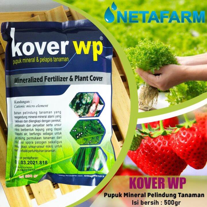Pupuk Mineral & Pelapis Tanaman KOVER WP - 500gr | Lazada Indonesia