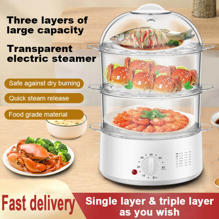 Electric steamer, multi-function electric steamer, multi-function ...