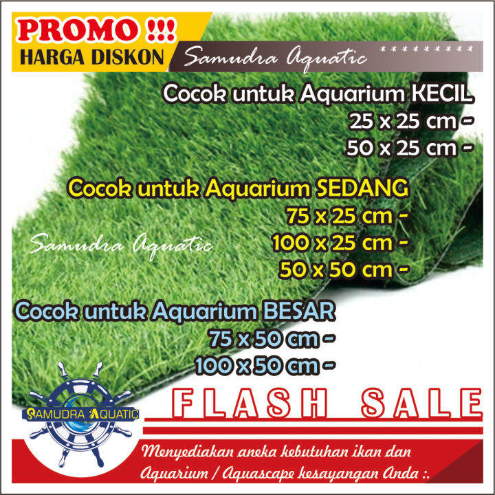 Rumput Aquarium Aquascape Sintesis (Cocok Untuk AQUARIUM BESAR), Rumput ...