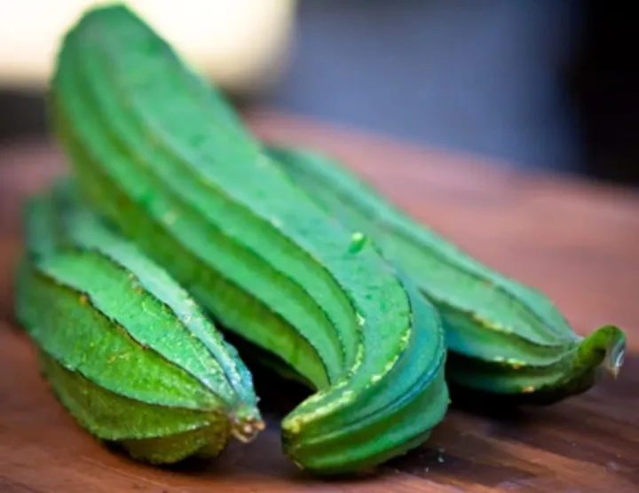 Patola Tagalog Seeds Herbs Vegetables Planting Supplies (It's a seed ...