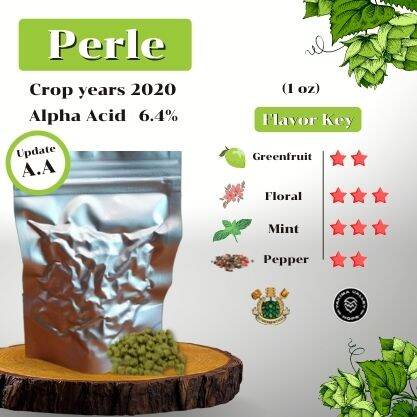 Perle Hops (1oz) Crop years 2020 (บรรจุด้วยระบบสูญญากาศ) | Lazada.co.th