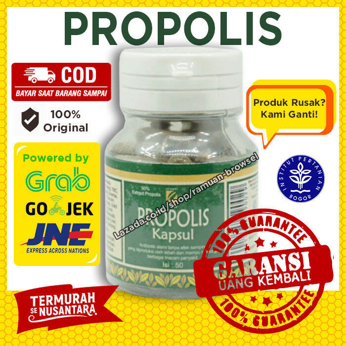 Kapsul Propolis Isi 50pcs Serambi Botani | Lazada Indonesia
