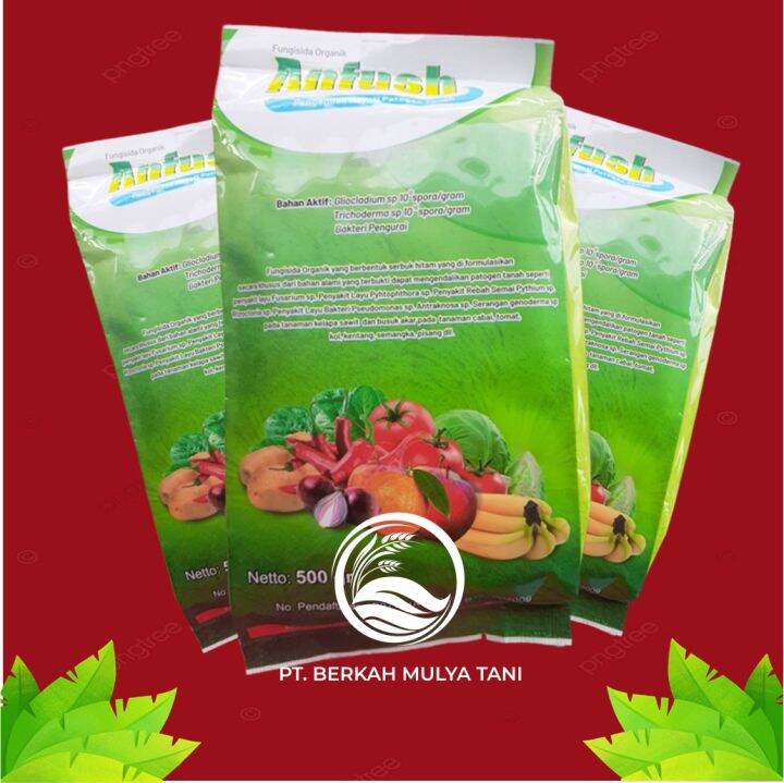 Obat Fungisida Anfush 500 Gram Pengendali Hayati Patogen Tanah | Lazada ...