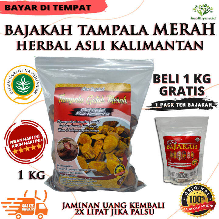 Kayu Bajakah Tampala Getah Merah Asli Kalimantan - 1 KG | Lazada Indonesia