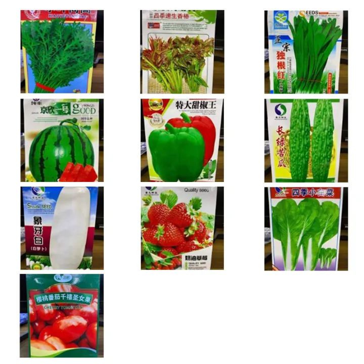 DK Mall New Seeds for Planting Fruits and Vegetable Plants | Lazada PH