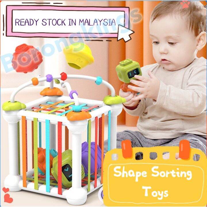Shape Sorting Toy Motor Skill Touch Grasp Color Ball Cognition Sensory ...