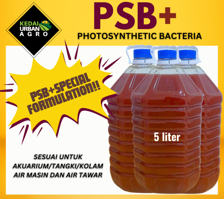 PSB PHOTOSYNTHETIC BACTERIA 5 Liter / Penjernih Air/ Penyubur Tanaman / Penjagaan Air Kolam ...