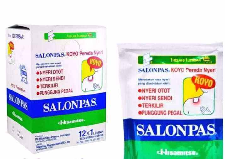 Salonpas Koyo isi 12 Lembar | Lazada Indonesia