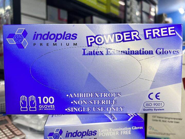 Indoplas Latex Examination Gloves powrder free 100s | Lazada PH