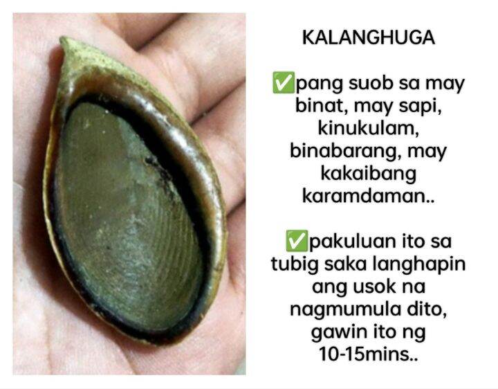 cod KALANGHUGA ihalo sa pangsuob o pagpapausok ng bahay tulong gamutan ...