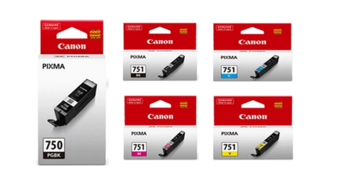Canon PGI-750/CLI-751 5-Color Original Set Ink Cartridge for PIXMA ...