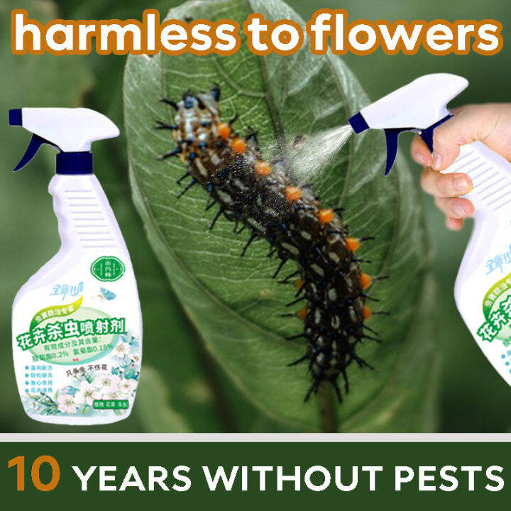 WDM 🌻Pests die off 🐛Insecticides spray for plants Ready to use without ...