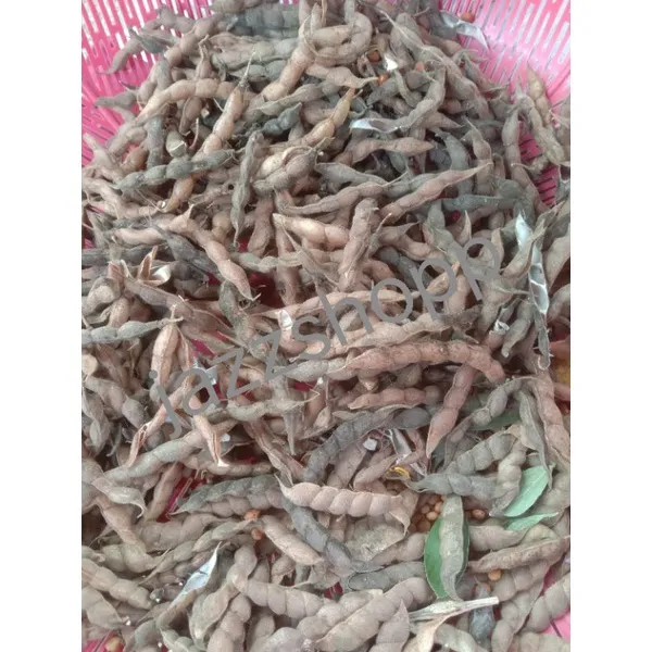 kardis)kadyos seeds, Seeds for planting 100 seeds | Lazada PH