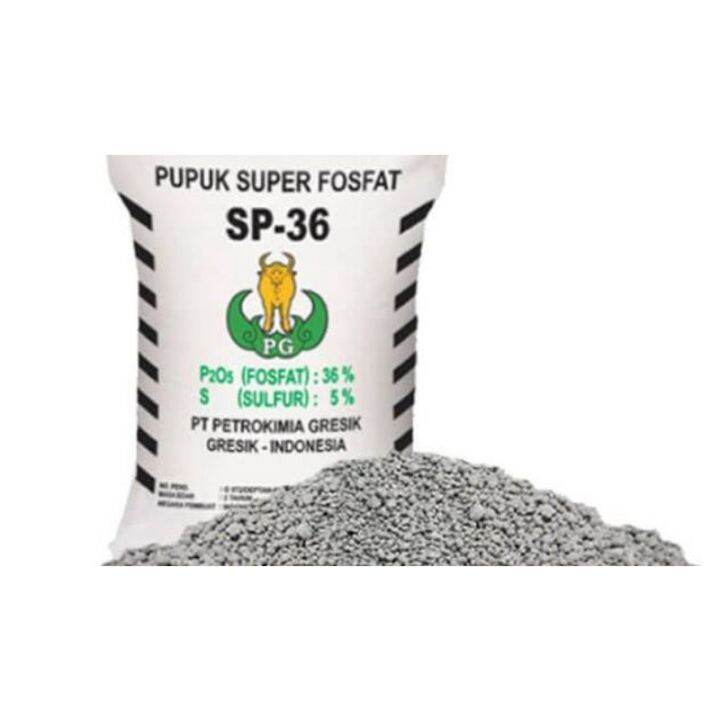 Pupuk SP-36 PETRO Merangsang Pembungaan dan Pembuahan Repack 1 Kg | Lazada Indonesia