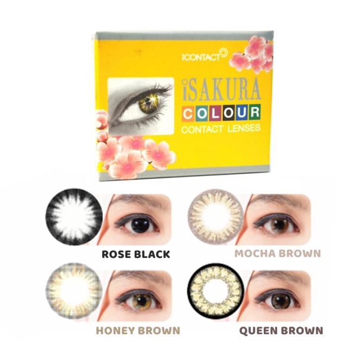 ICONTACT Isakura Monthly Disposable Color Lens Contact Lenses (2 PCS ...