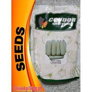 LAGKITAN CORN (KILO) WHITE WAXY CORN BY CONDOR SEEDS | Lazada PH