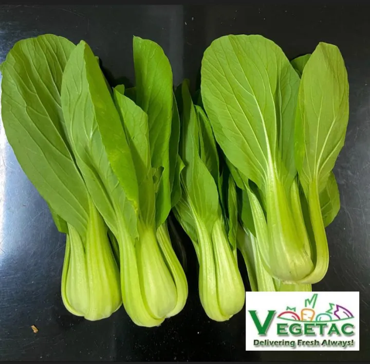 Siew Pak Choy/ Sawi Jepun | Lazada