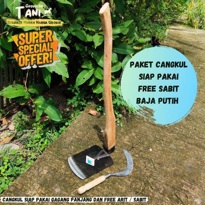 ( Free Sabit / Arit ) Cangkul Ukuran Sedang Langsung Pakai - Pacul ...