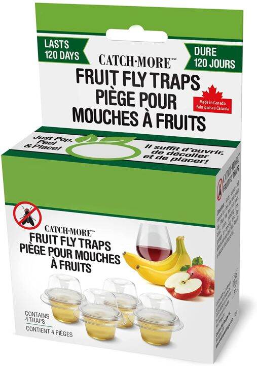 CatchMore Fruit Fly Traps | Effective Fruit Fly Trap for Indoor Use ...