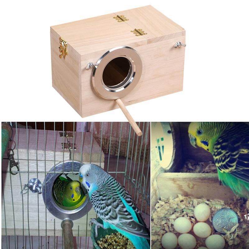 Bird Parrot Holder Wooden Bird Nesting Organizer Clear View Window Bird ...