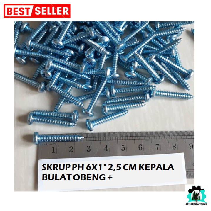 100 pcs Skrup Tapping Screw 6x1 Kepala Bulat Sekrup Taping Fiser Viser S6 100 biji | Lazada ...
