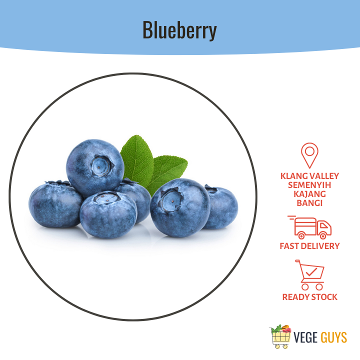Blueberry 蓝莓 (+/-125g) | Lazada