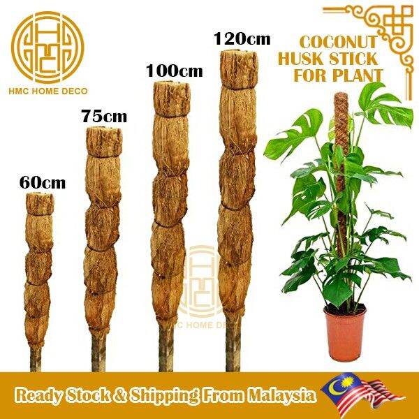 COCONUT HUSK STICK FOR PLANT SUPPORT POLE INDOOR OUTDOOR GARDENING | Lazada