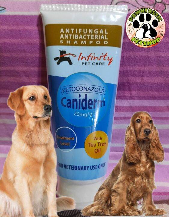 Infinity Caniderm 100mL [Medicated Shampoo] | Lazada PH